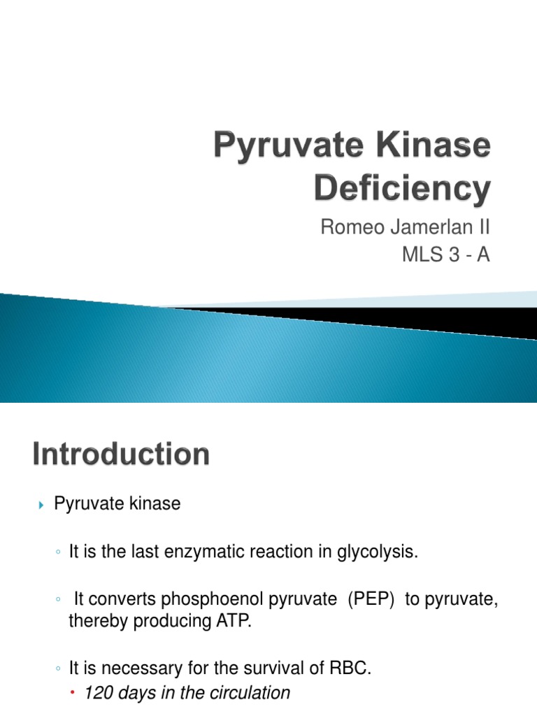 Pyruvate Kinase Deficiency | PDF | Red Blood Cell | Anemia