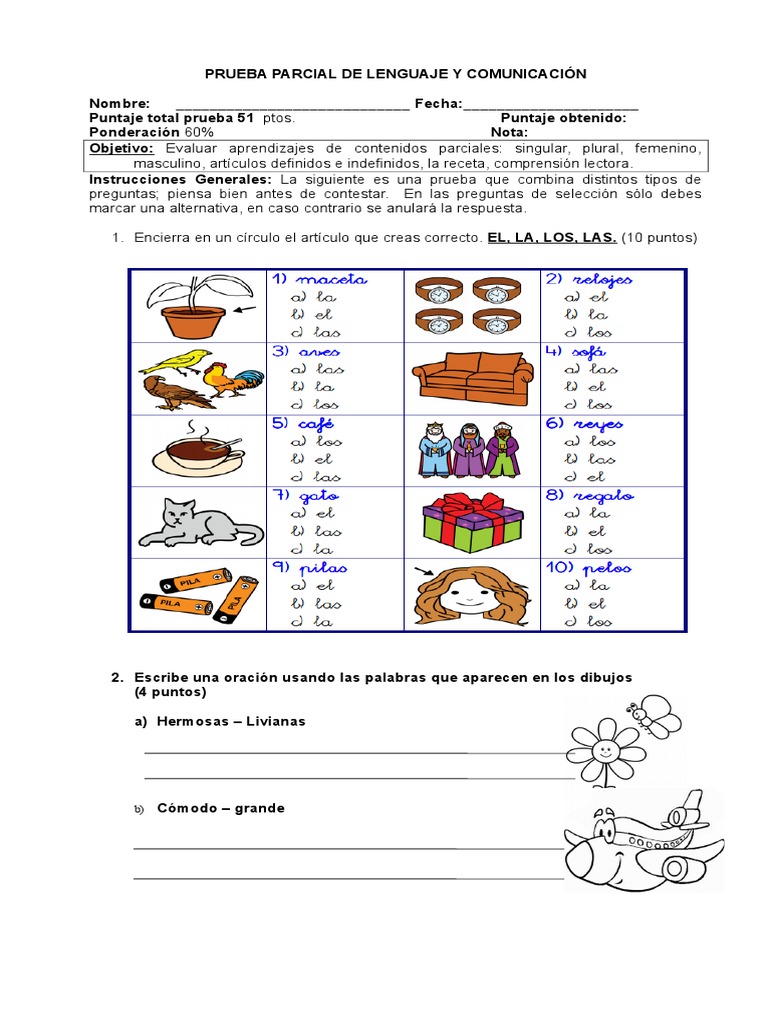 Prueba de Lenguaje Masculino, Femeninos, Singular, Plural, Articulos ...