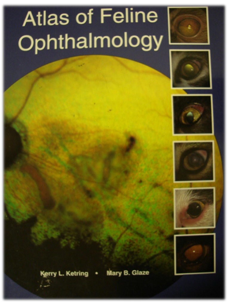 Atlas of Feline Ophthalmology | PDF