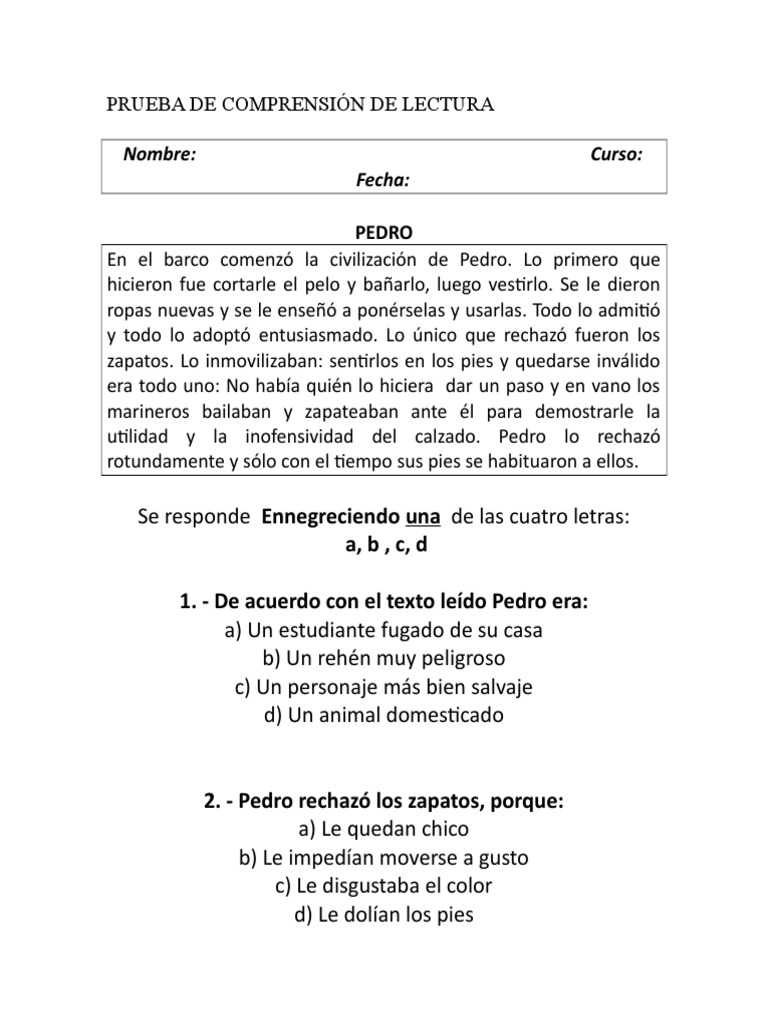 Prueba de Comprensión de Lectura | PDF | Ocio