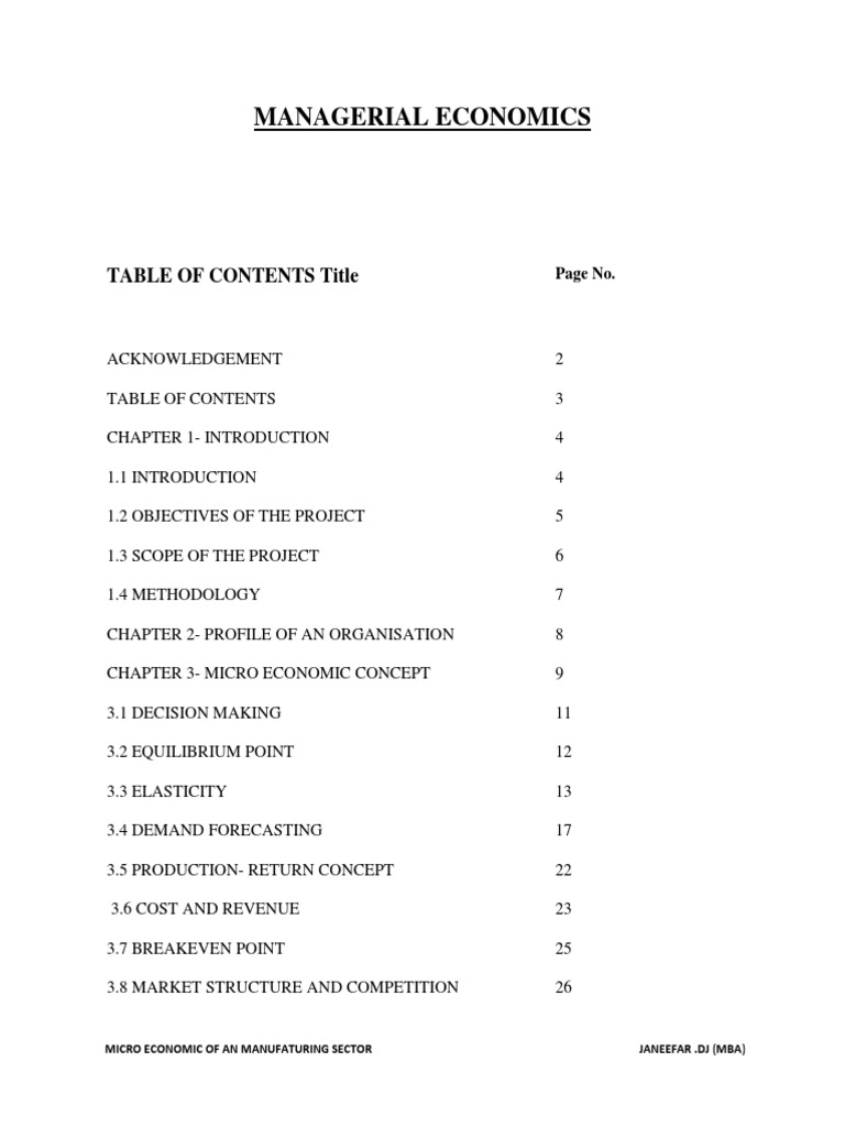 Micro Economic Project Report | PDF | Macroeconomics | Monopoly