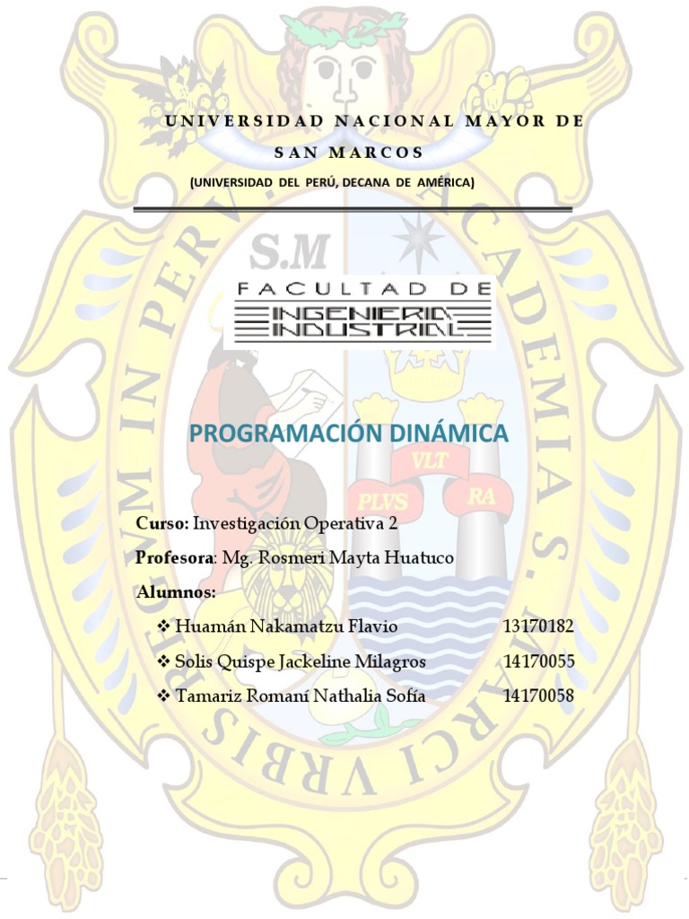 Informe - Programación Dinámica 2.1 | PDF | La investigación de ...