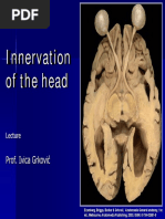 Structures Passing Through The Foramens of Skull | PDF | Human Head And ...