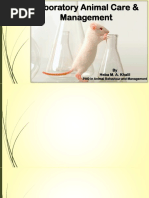 Cardiac Puncture Blood Collection Terminal | PDF