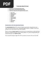 Anatomy and Physiology of Acute Gastroenteritis | PDF | Stomach ...