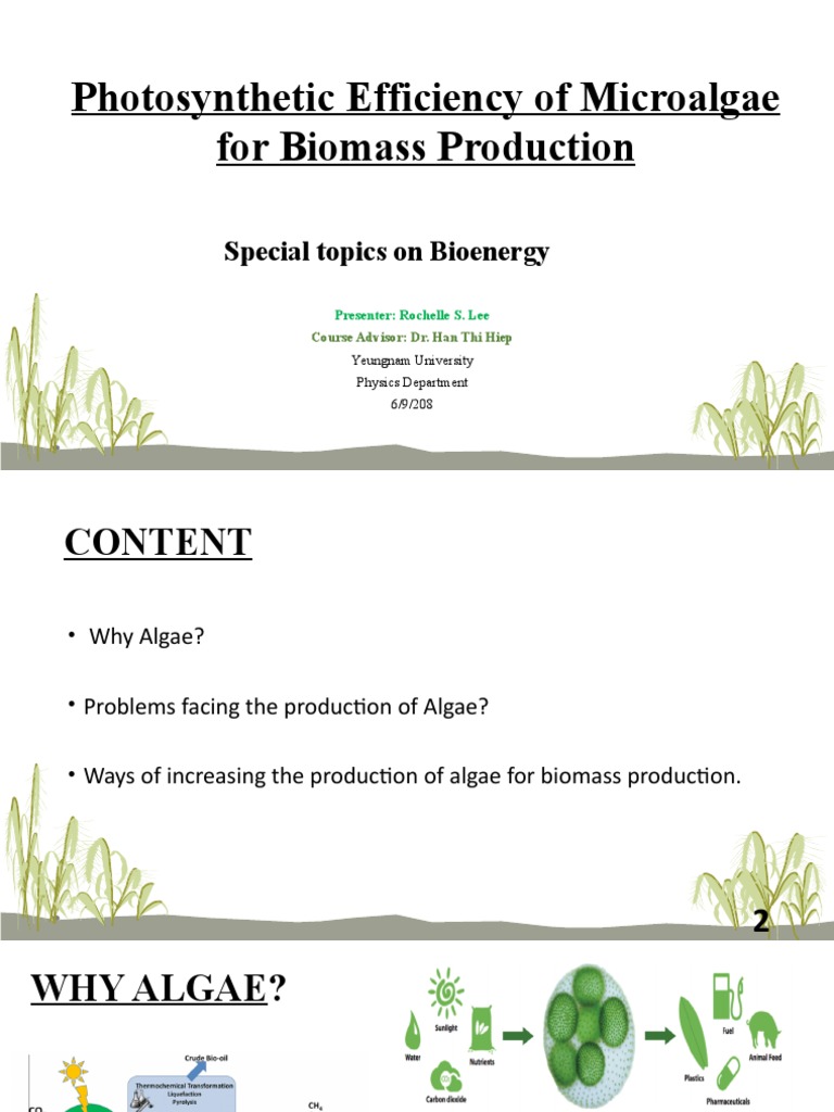 Photosyntheis Efficiency For Microalgae Production | PDF | Algae Fuel ...
