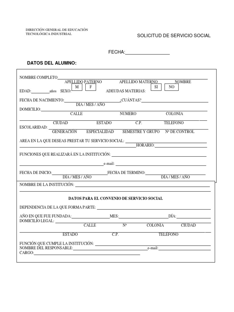 Formatos Del Servicio Social | PDF