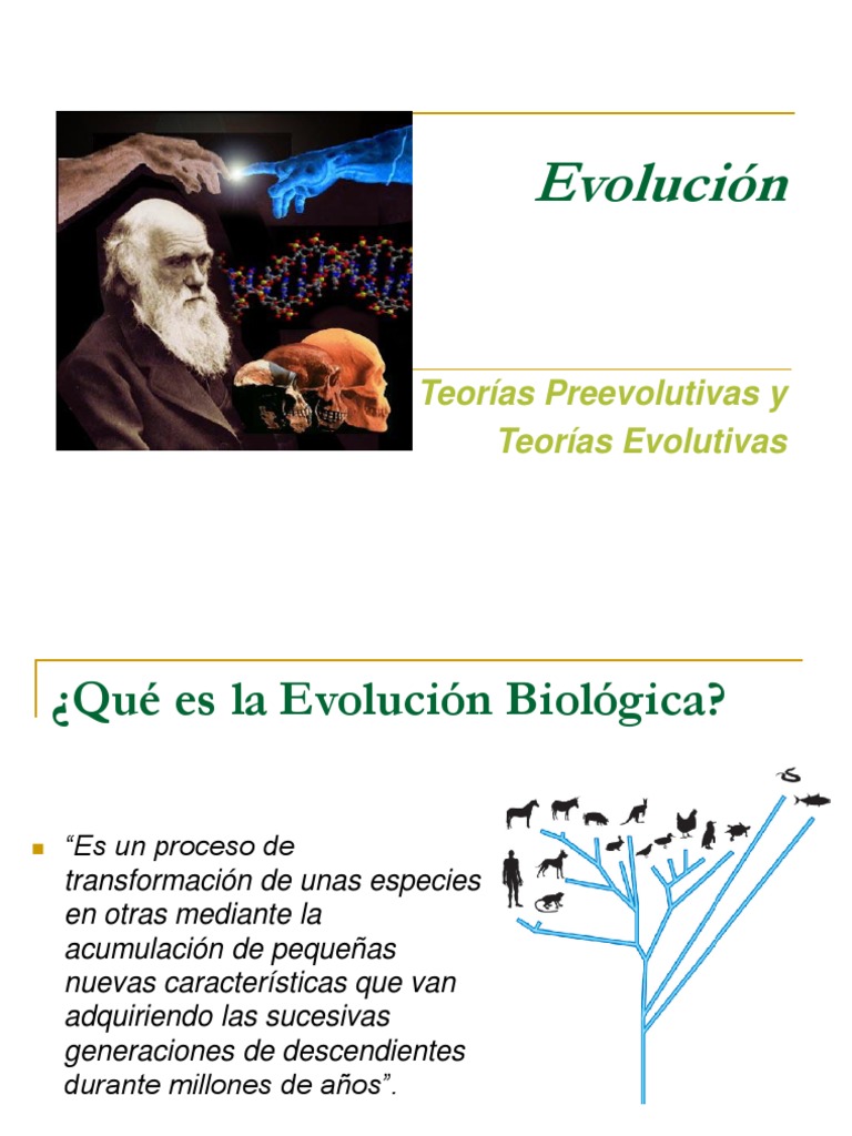 Teorias Evolucionistas | PDF | Evolución | Especies