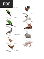 ANIMALES en Mam y Español | PDF