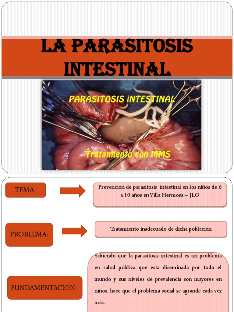 La Parasitosis Intestinal | PDF