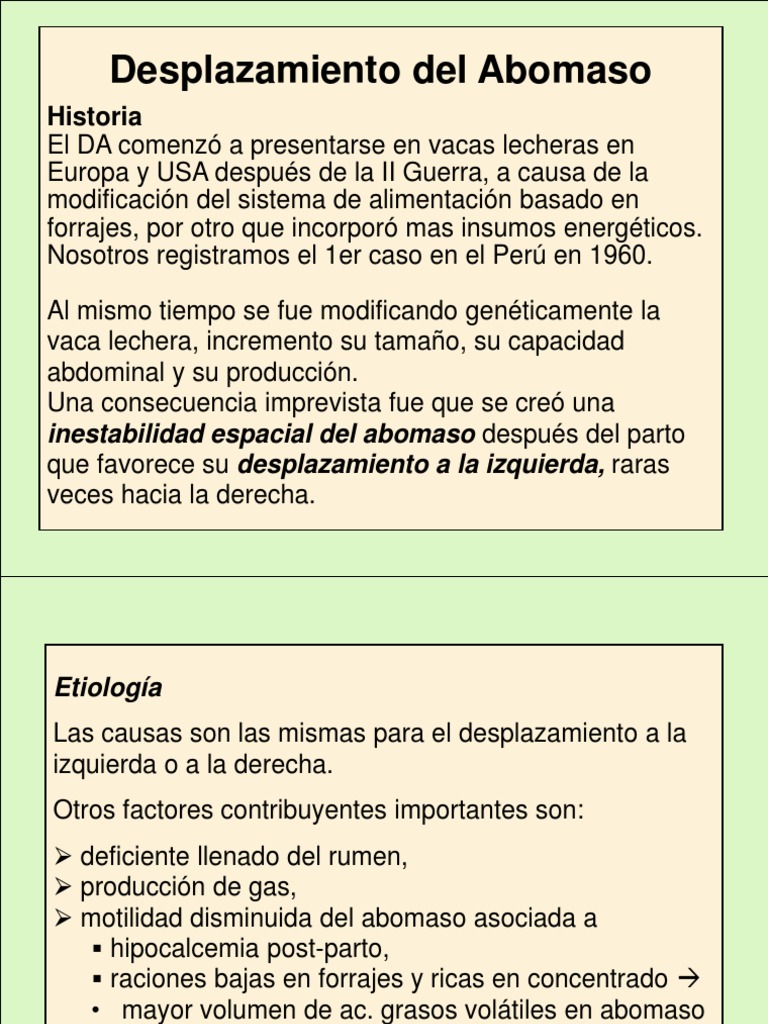 Desplazamiento Del Abomaso | PDF | Rumiante | Vacas