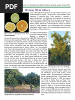 Row 7 Seed Co. Catalog | PDF | Cucurbita | Cucumber