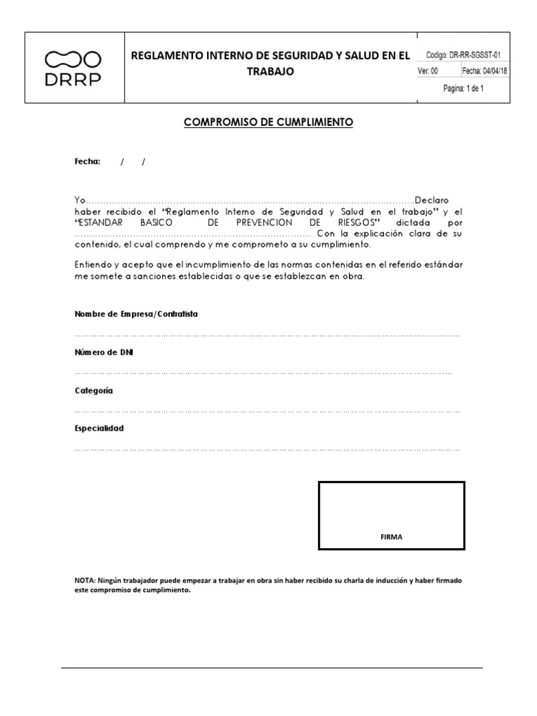 Entrega Del Risst | PDF