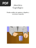 Harada Mori | PDF | Papel | Agua