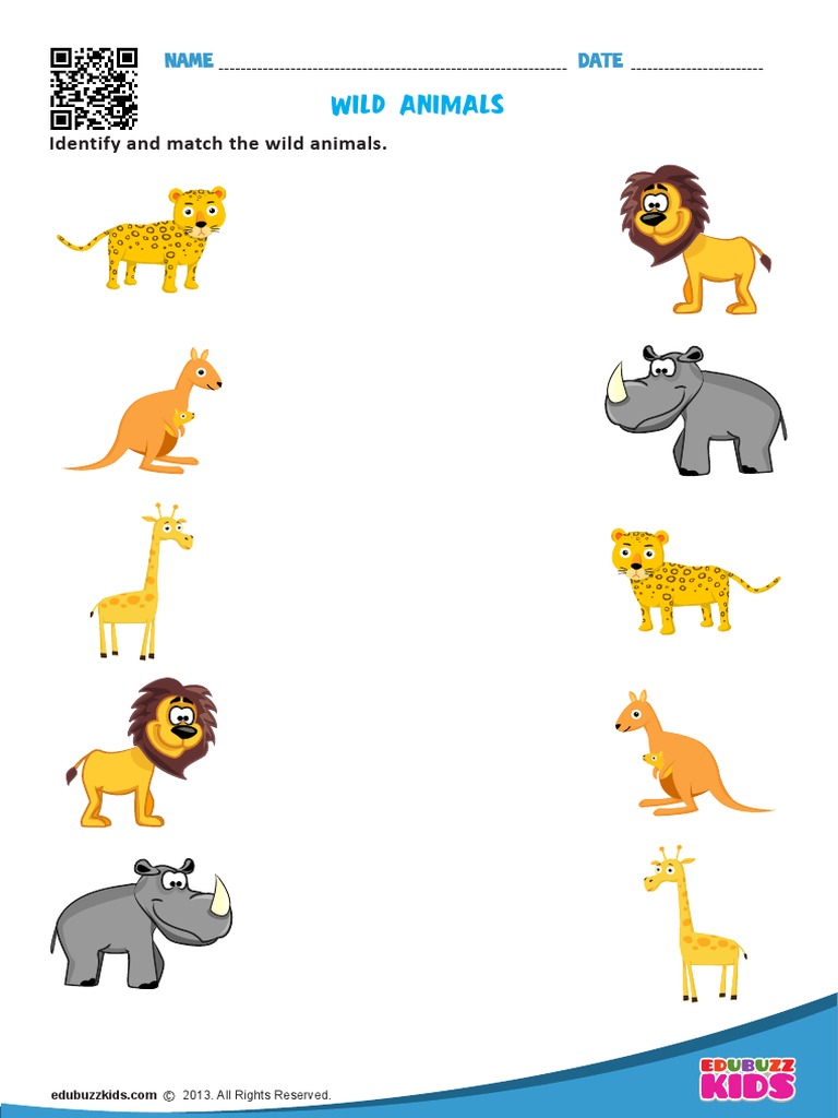 1 Wild Animals1 | PDF