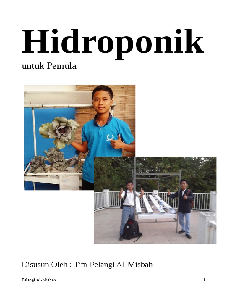 Hidroponik Untuk Pemula | PDF | Griya & Taman | Sains & Matematika