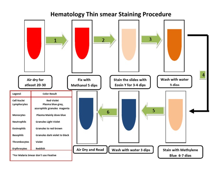 Hema Stain Procedure | PDF