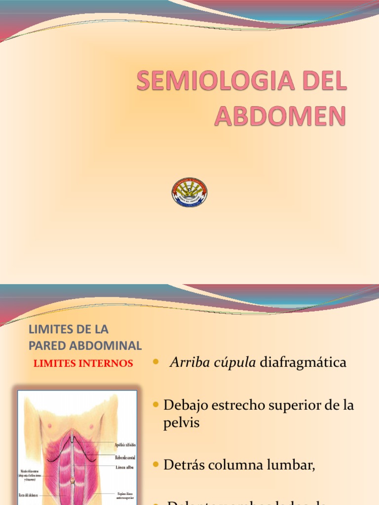 Límites y Exploración de la Pared Abdominal | PDF | Bazo | Abdomen