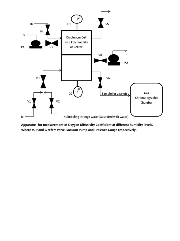 O G1 V5 V4 Diaphragm Cell With Polymer Film at Center | PDF