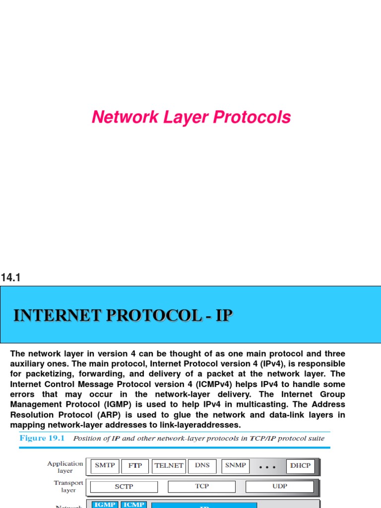 Network Layer Protocols | PDF