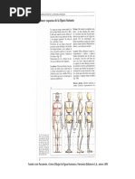 La Figura Humana Figura Humana Masculina Y Femenina Pdf Homo