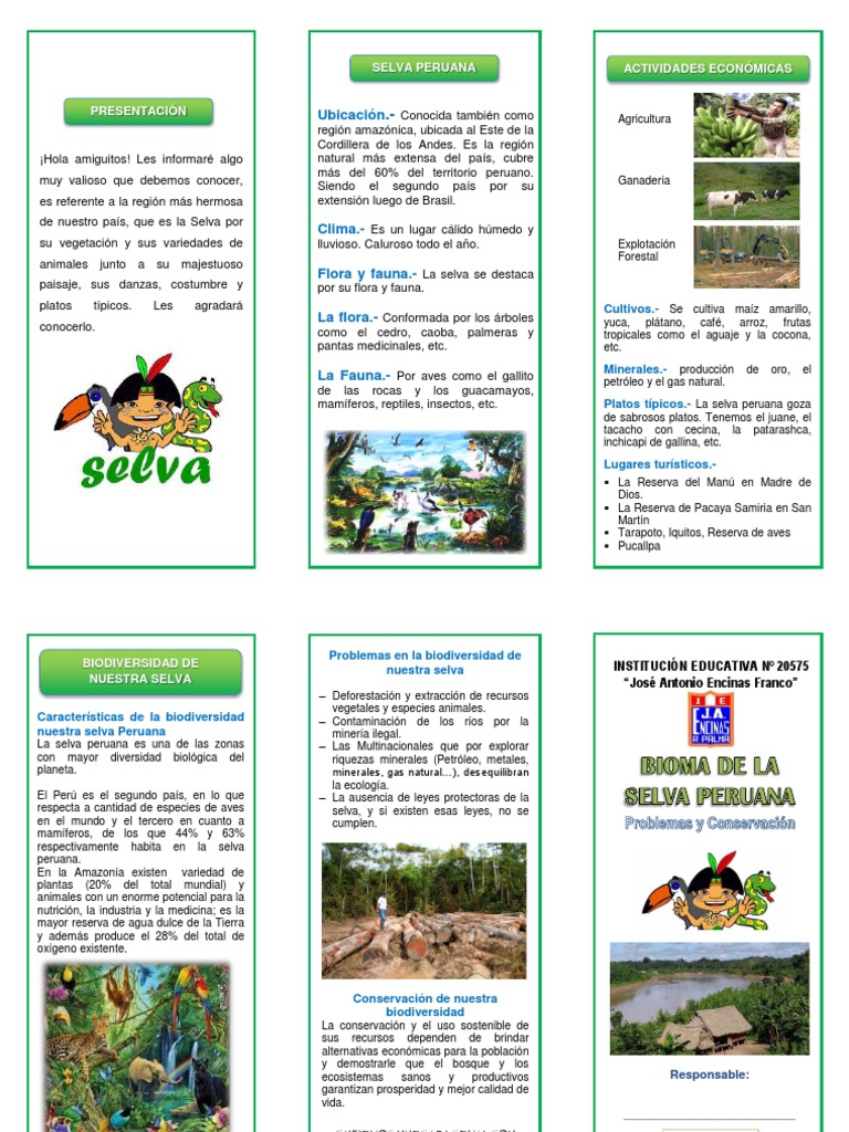 Triptico Bioma Selva Peruana | PDF | Selva | Perú