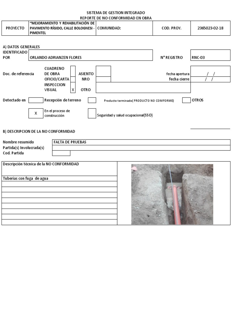 Formatos Calidad | PDF | Business | Negocios