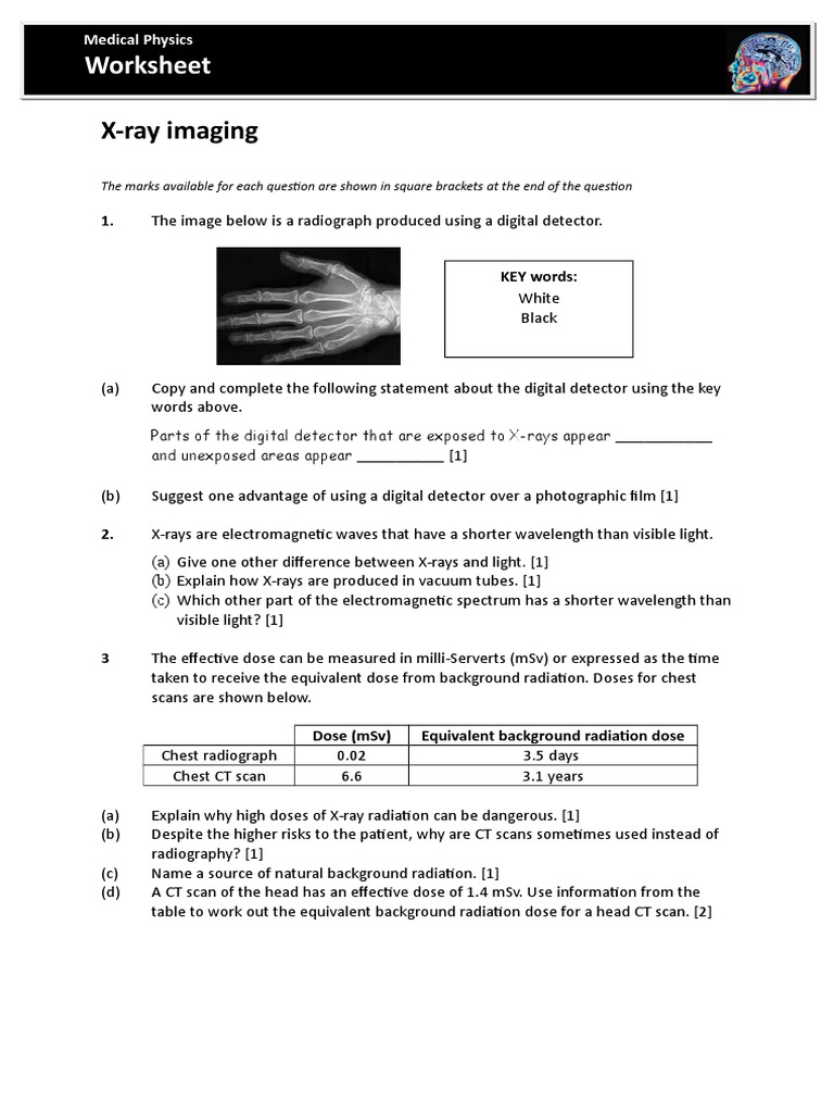23529-X Ray Imaging Worksheet | PDF