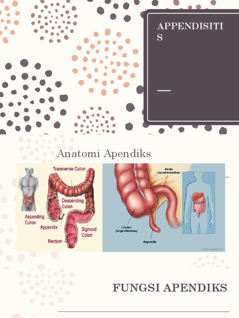APPENDISITIS | PDF | Kesehatan Holistik | Sains & Matematika
