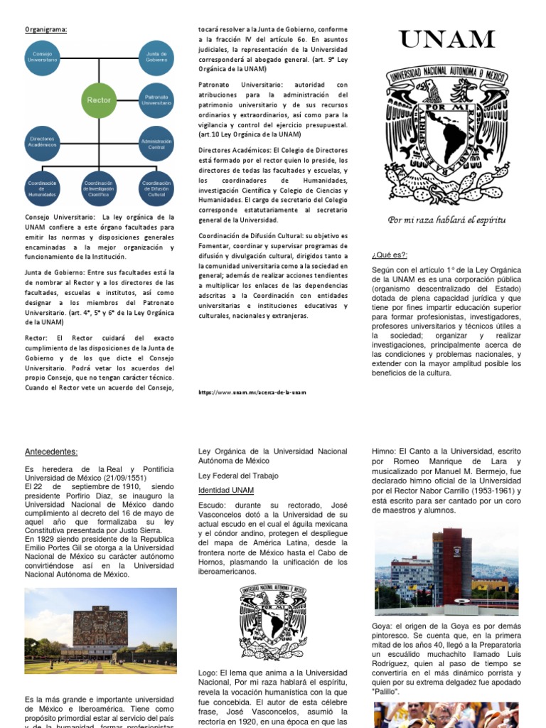 Estructura y Funciones de la UNAM | PDF | Gobierno | Educación avanzada