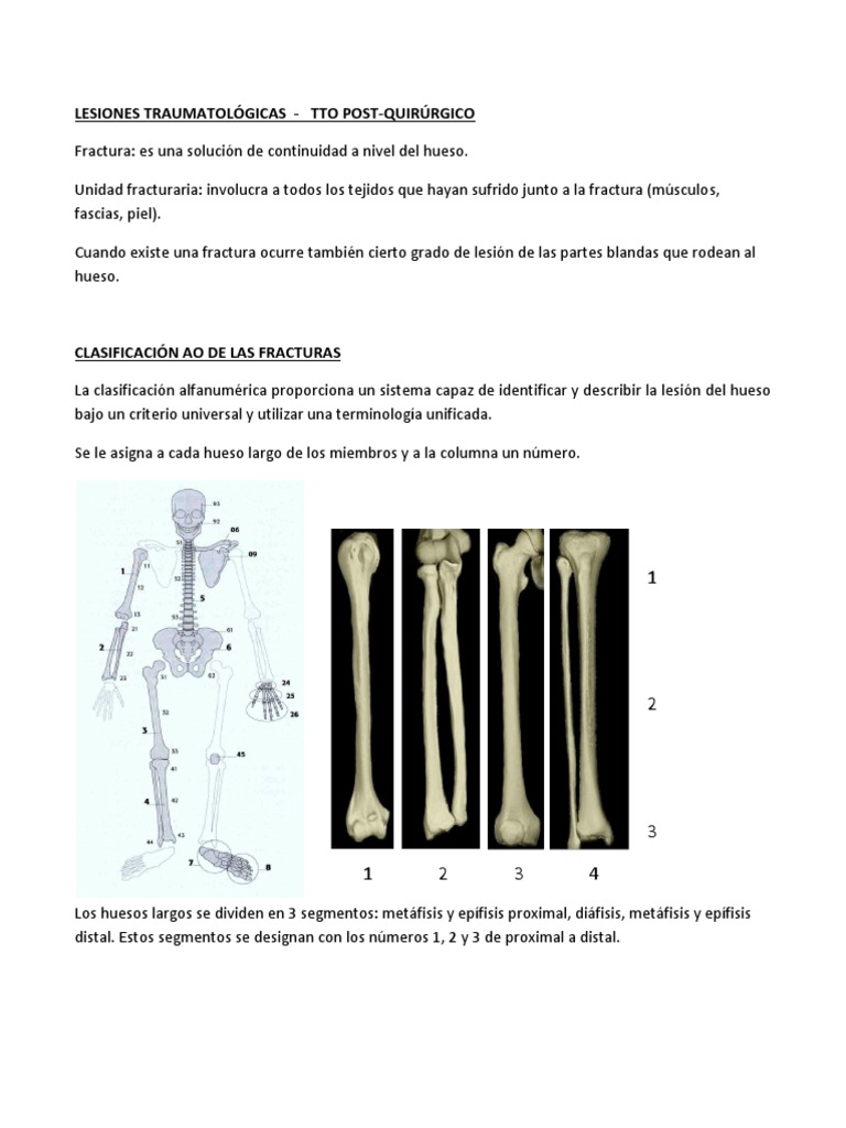 Lesiones Traumatológicas | Hueso | Lesión