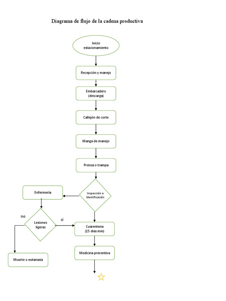 Diagrama de Flujo de Cadena Productiva | Vacas | Carne