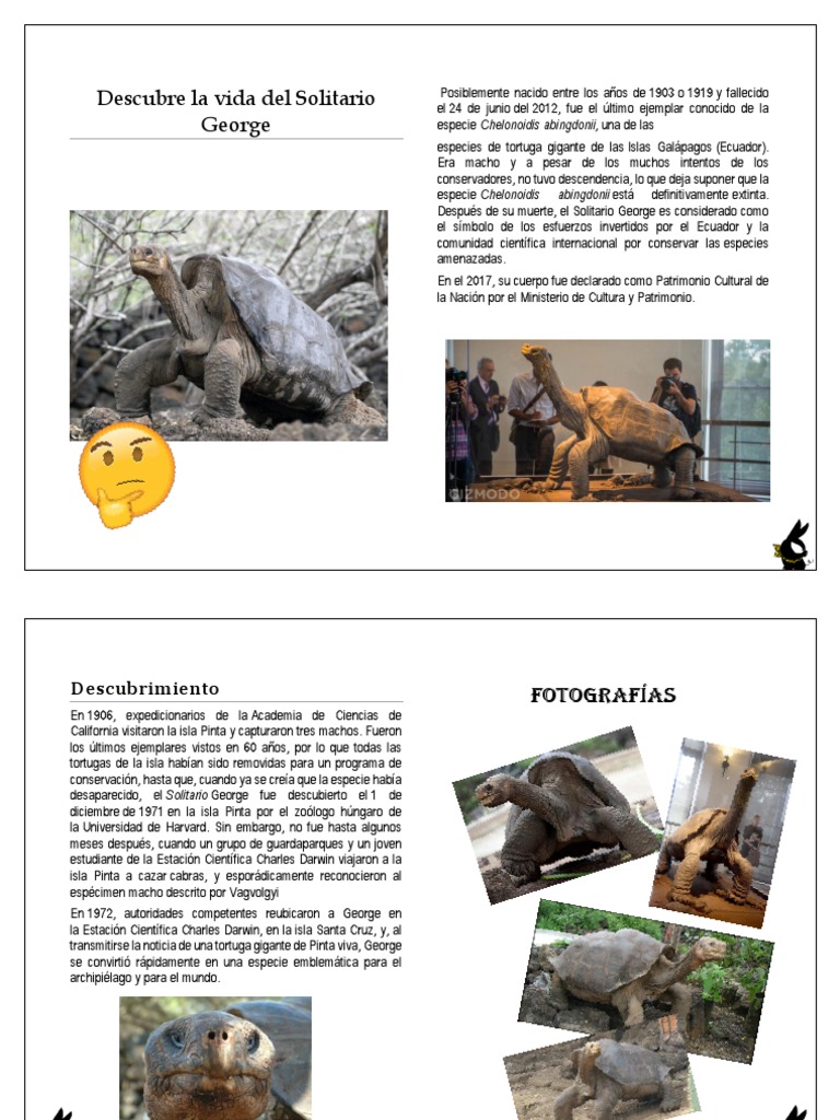 Descubre La Vida Del Solitario George | PDF