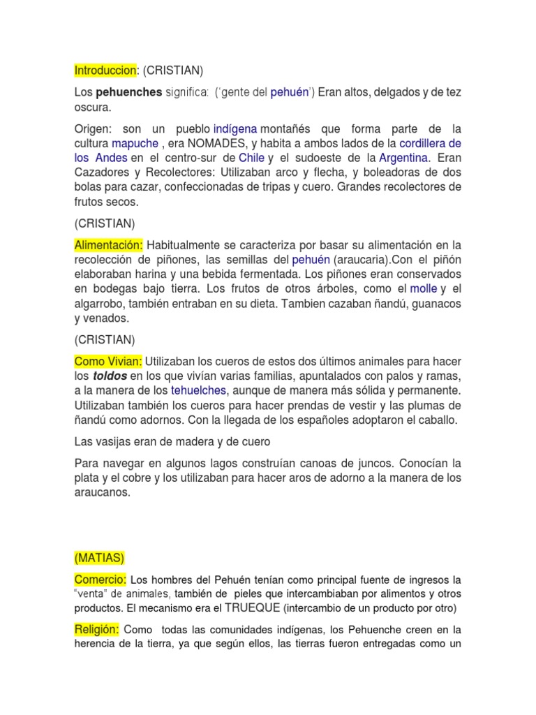 Cultura y modo de vida de los pehuenches, el pueblo indígena de la ...