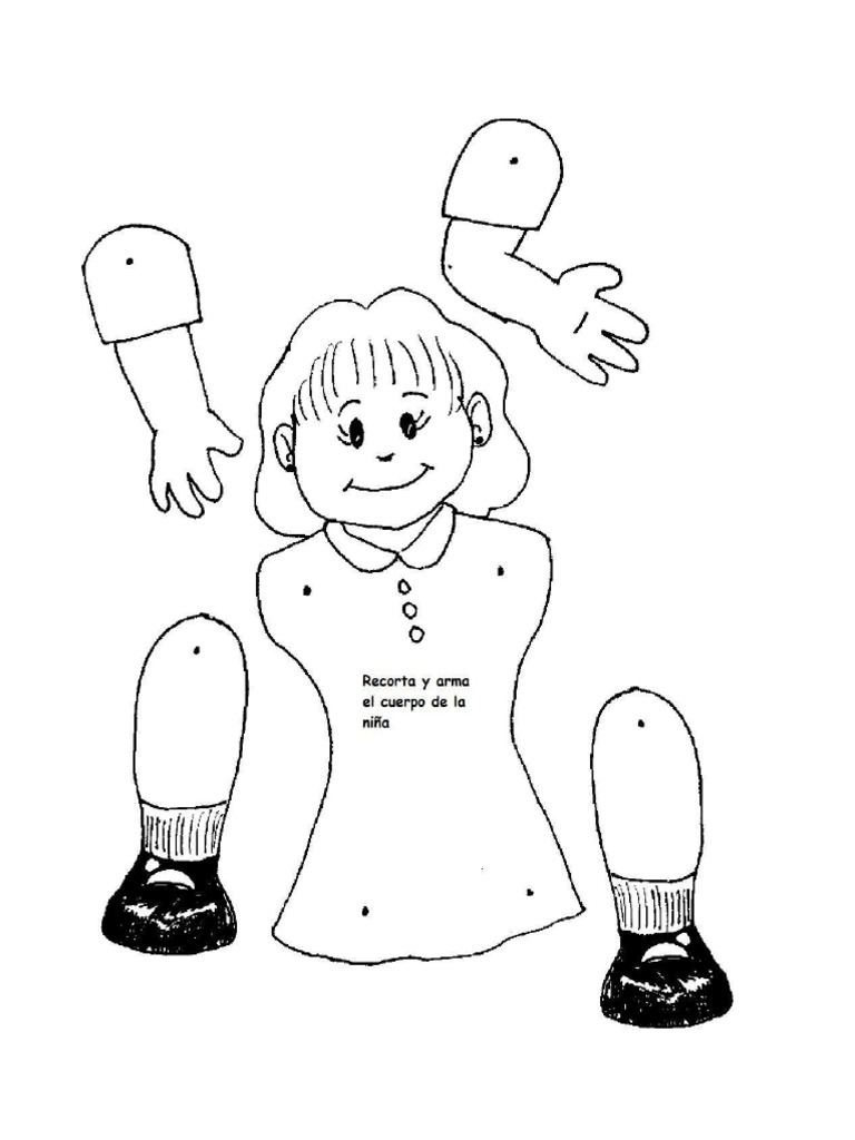 Puzzle Cuerpo Humano Pdf