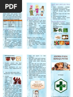 Leaflet TTD Rematri | PDF