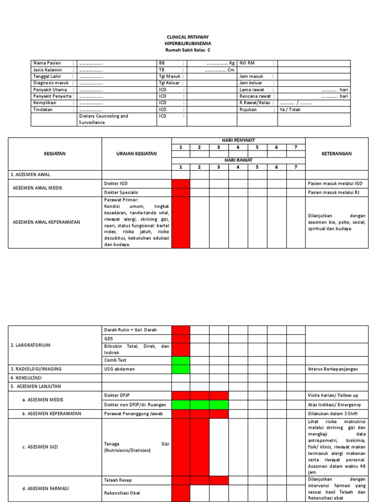 CP Hiperbilirubin | PDF