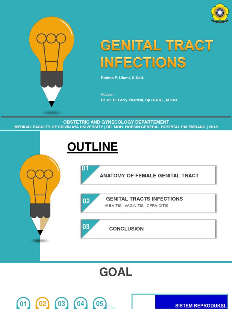 Genital Tract Infection | PDF | Candidiasis | Mammal Female ...