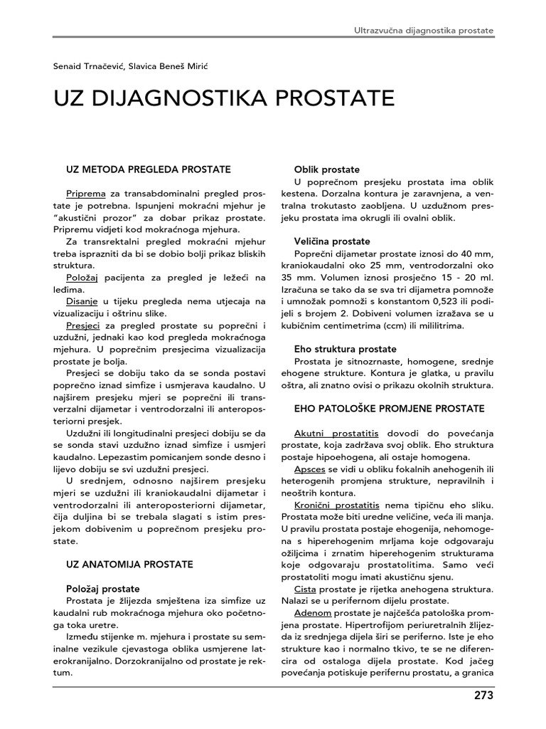 07 - Prostata | PDF