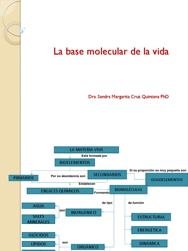 Bases Moleculares de La Vida | PDF | Biomoléculas | Organismos