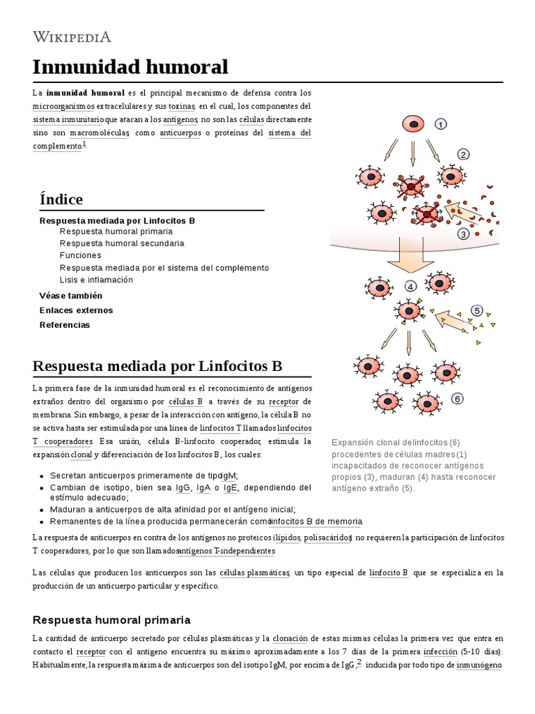 Inmunidad Humoral | PDF | Inmunidad humoral | Sistema complementario