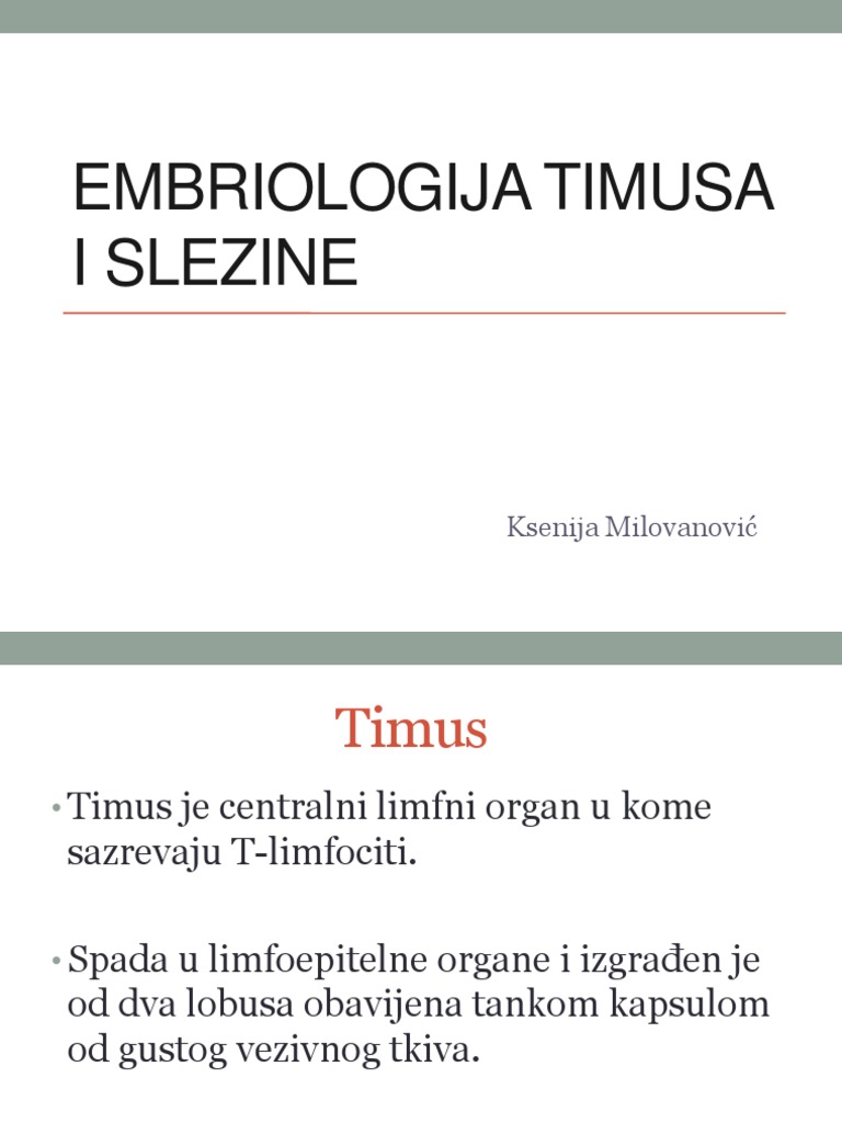 Embriologija Timusa I Slezine | PDF