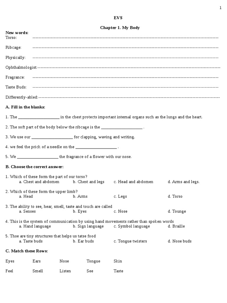 EVS Chapter 1. My Body New Words | Download Free PDF | Thorax | Tongue