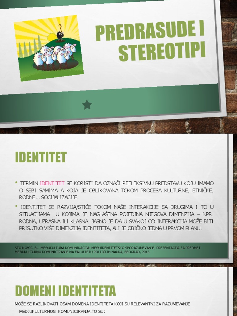 Predrasude I Stereotipi | PDF