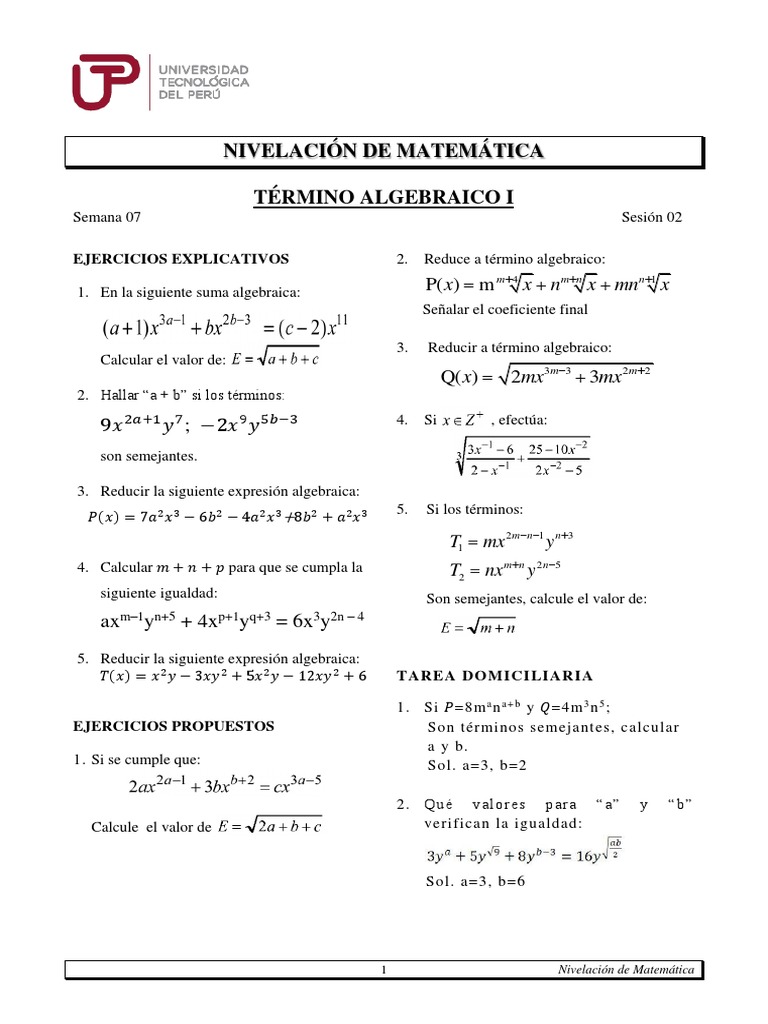 terminos algebraicos 1 | Álgebra | Física y matemáticas
