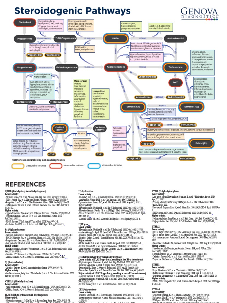 Steroidogenic Pathways Chart | PDF
