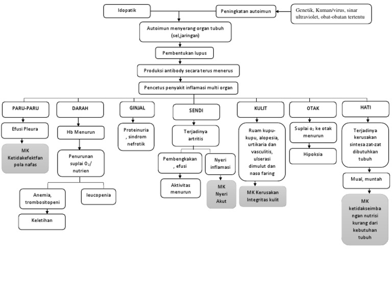 Pathway SLE | PDF