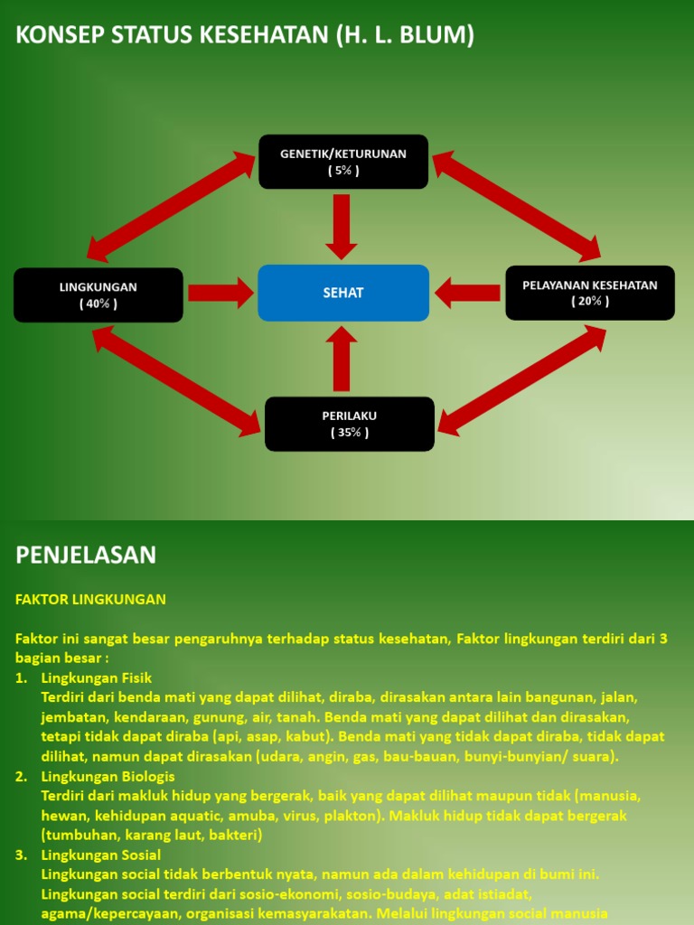 Teori Status Kesehatan H L Blum | PDF