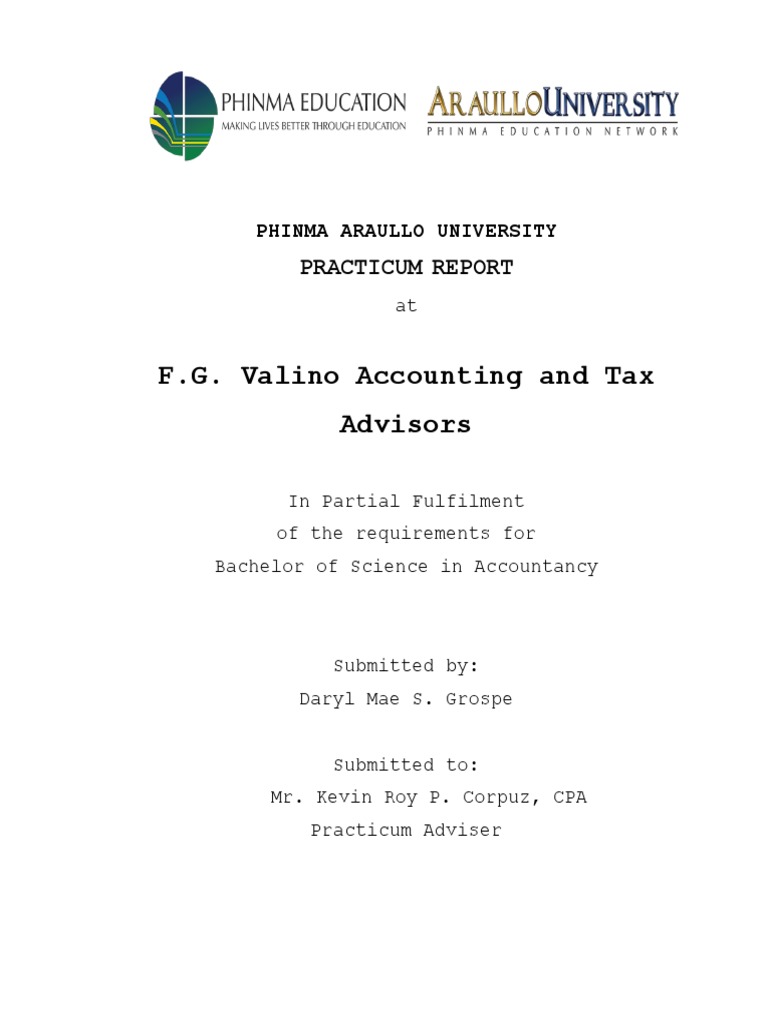 Practicum Report | PDF | Financial Audit | Accounting