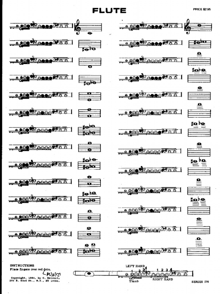 Posiciones de La Flauta Traversa PDF | PDF